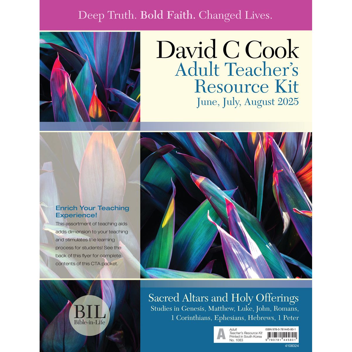 Literature / Curriculum :: David C. Cook Bible-in-Life :: Adult ...
